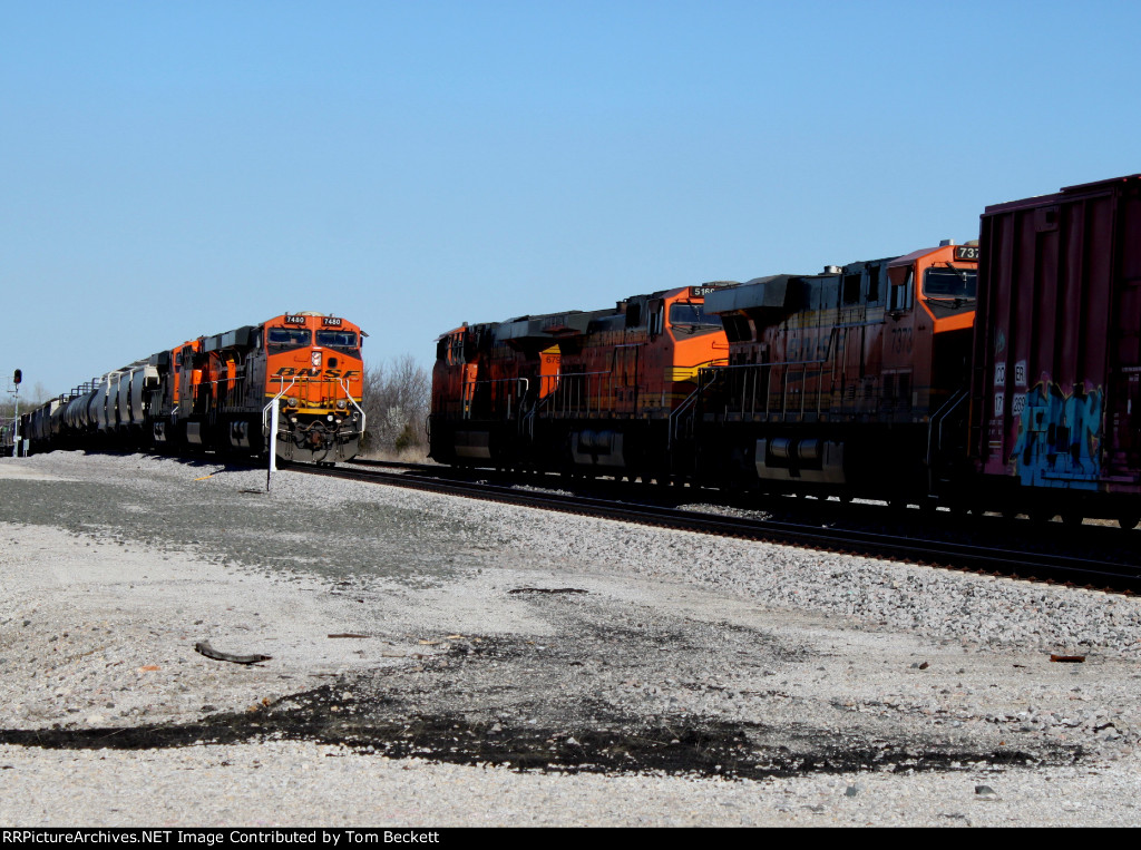 Meeting of the canned